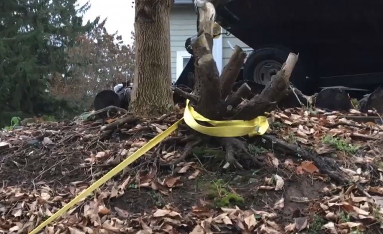 winch-pull-stump - Amateur DIY
